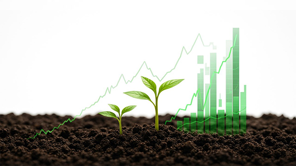 Morula Capital Partners | Asset Mangement Company